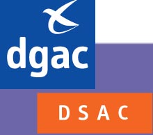 CAP10BK - Carbon Fiber Spar Reinforcement